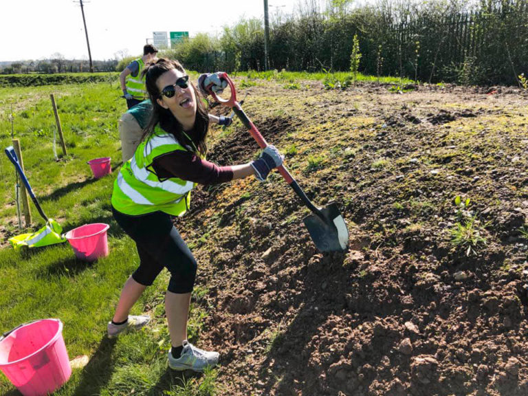 Volunteer Work in Ireland to Support the Community